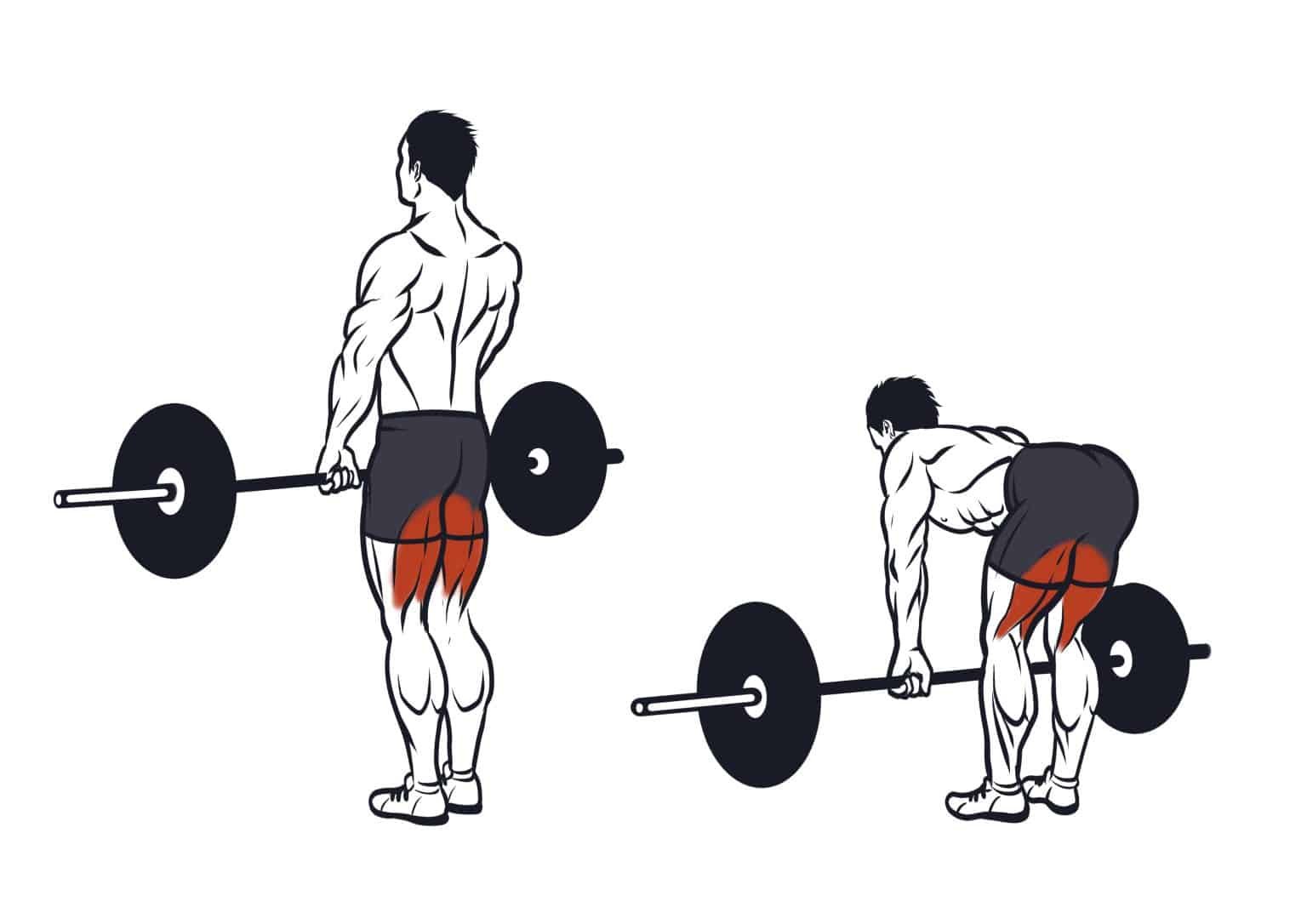 Peso muerto RUMANO vs PIERNAS RÍGIDAS - Diferencias RDL vs SLDL ...